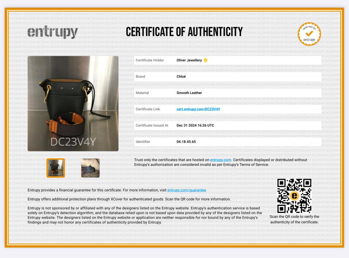 Chloe Forest Green Calfskin Leather Mini Roy w/ Strap – OLIVER'S