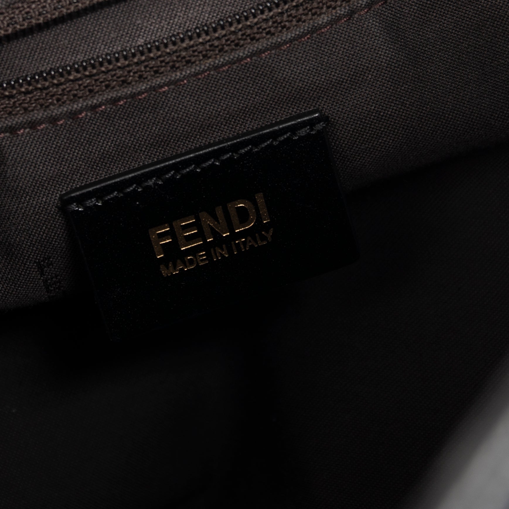 Fendi Chameleon Hobo w/ Receipt – Oliver Jewellery